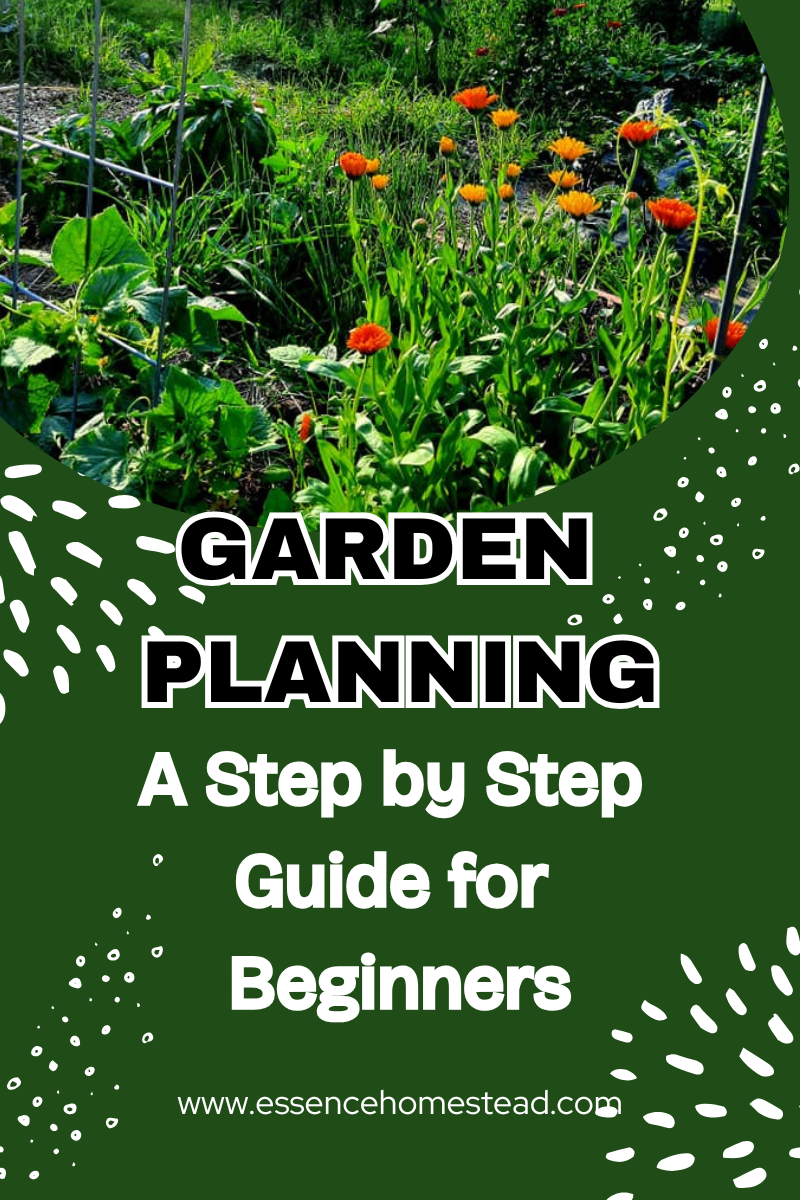 Garden Planning: A Step-by-Step Guide for Beginners – Essence Homestead